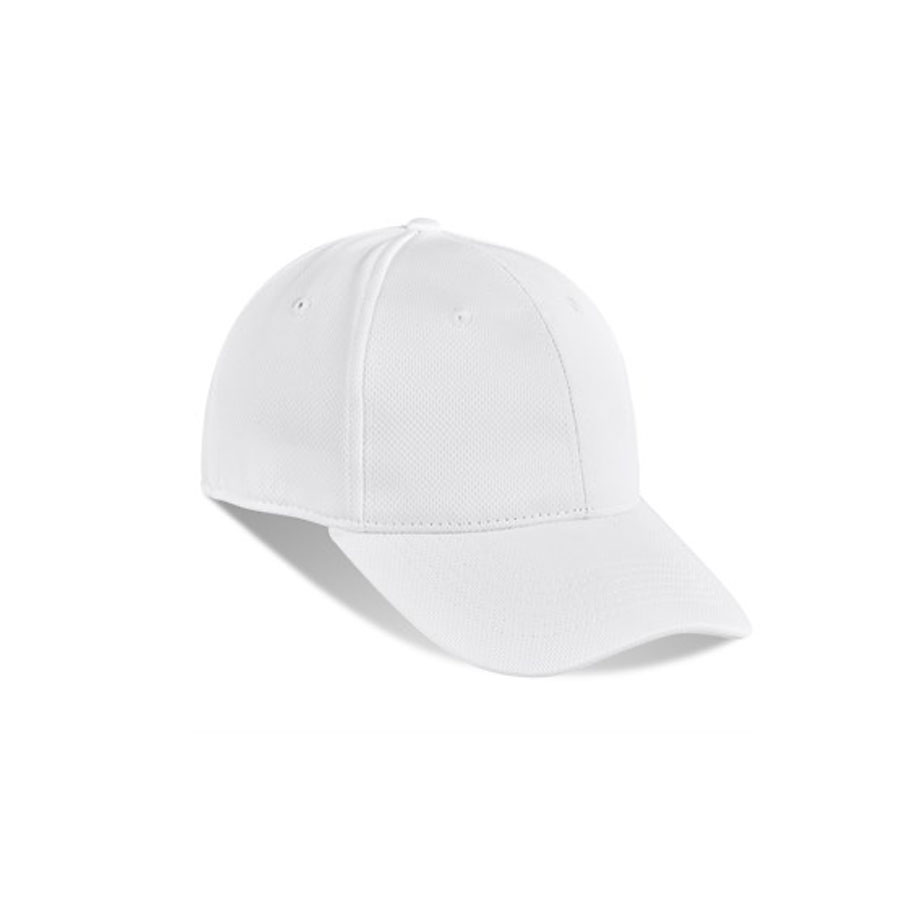 6 Panel – Ace Fitted Cap – Lethu Namibia